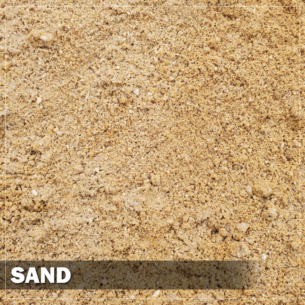 Wholesale Plants—Holly Days Nursery